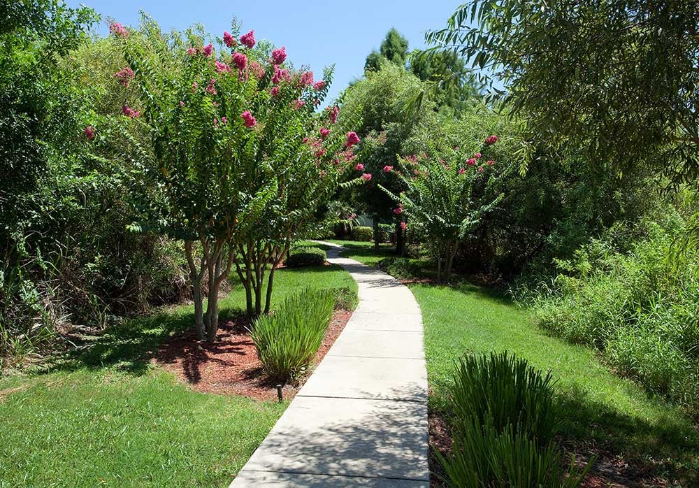 Springs Apartments | Apartments